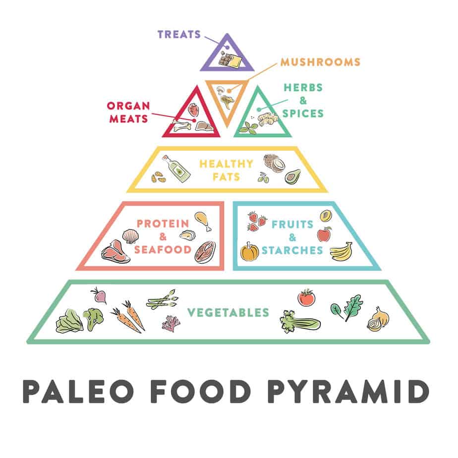 Paleo Diet คือ เทรนด์การกินของนางแบบ ผอมแน่นะ? หมอเล่าเอง!