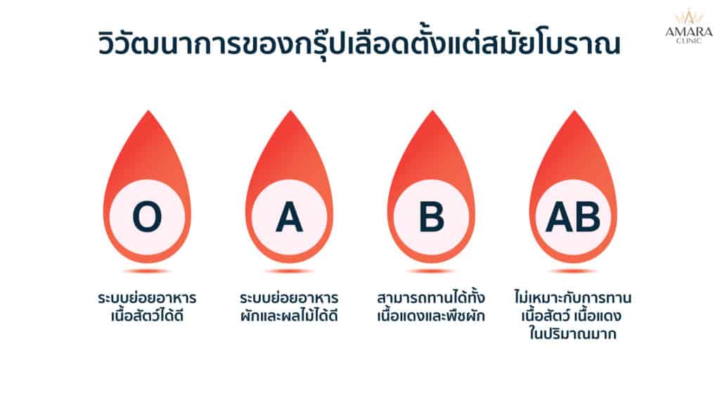 กินอาหารตามกรุ๊ปเลือด ลดน้ำหนักตามกรุ๊ปเลือด สูตรนี้หมอแนะนำ!