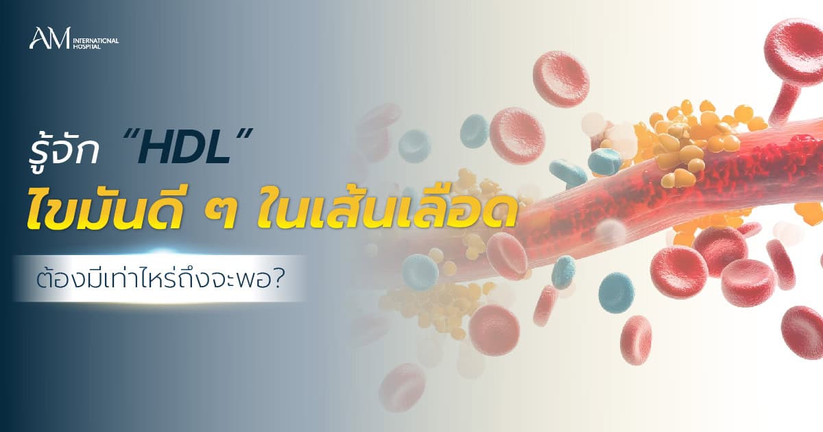 HDL คืออะไร มีประโยชน์กับร่างกายหรือเปล่า?